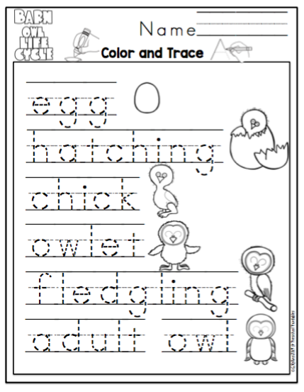Barn Owl Life Cycle (Updated) ~ Preschool Printables
