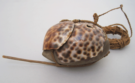 Conserving "Curiosities": An Octopus Lure