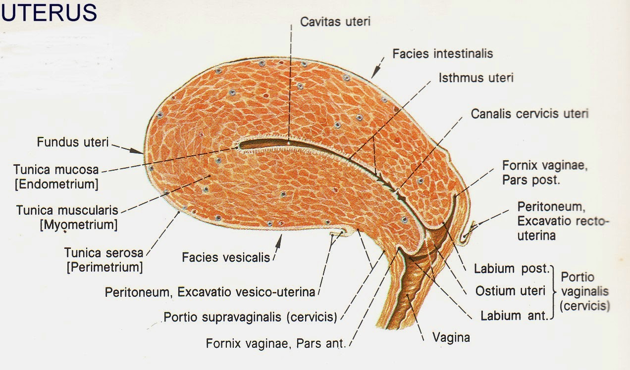 Rainbow Within Reach