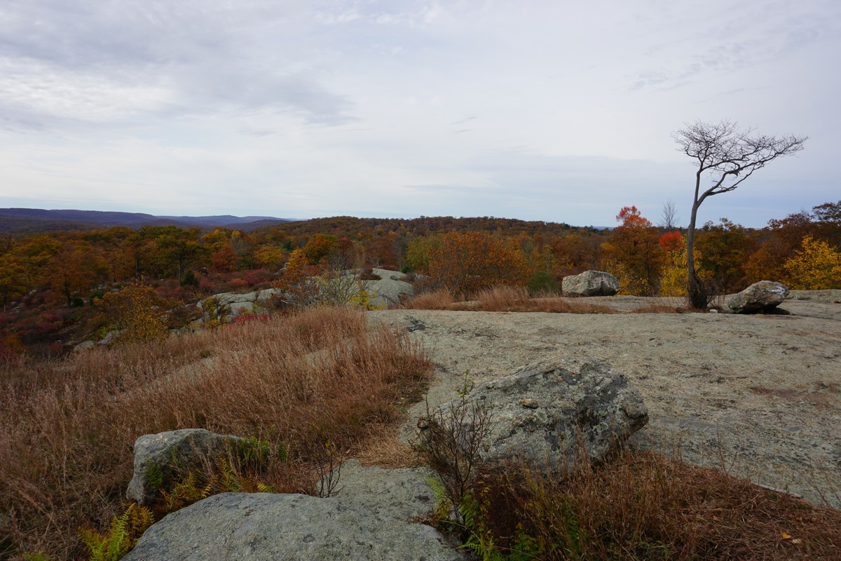 Harriman Hiker: Harriman State Park and Beyond: Hogencamp Mountain and ...