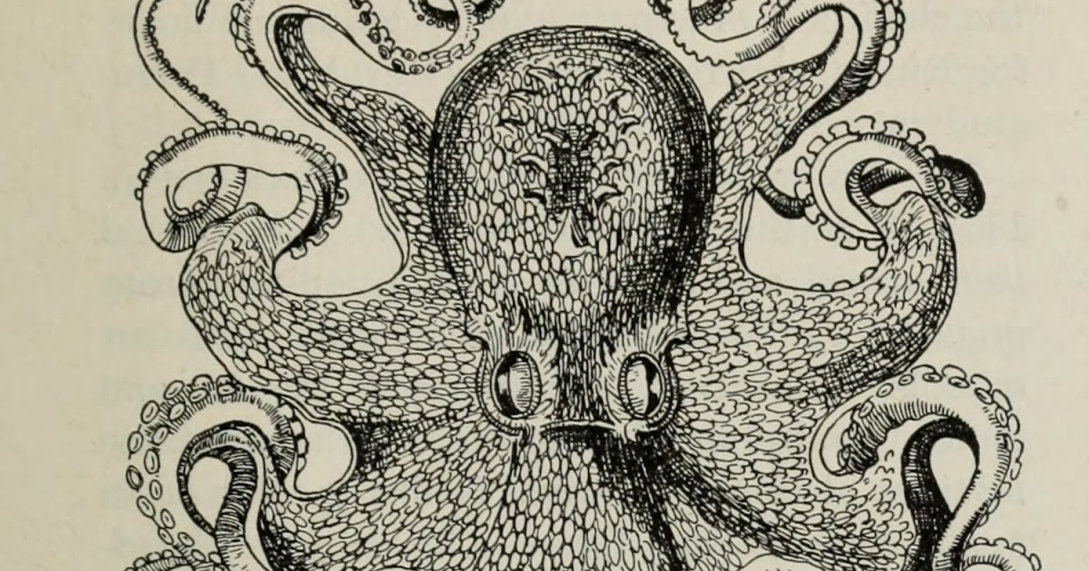 Data Deluge: Other Minds: The Octopus and the Evolution of Intelligent ...