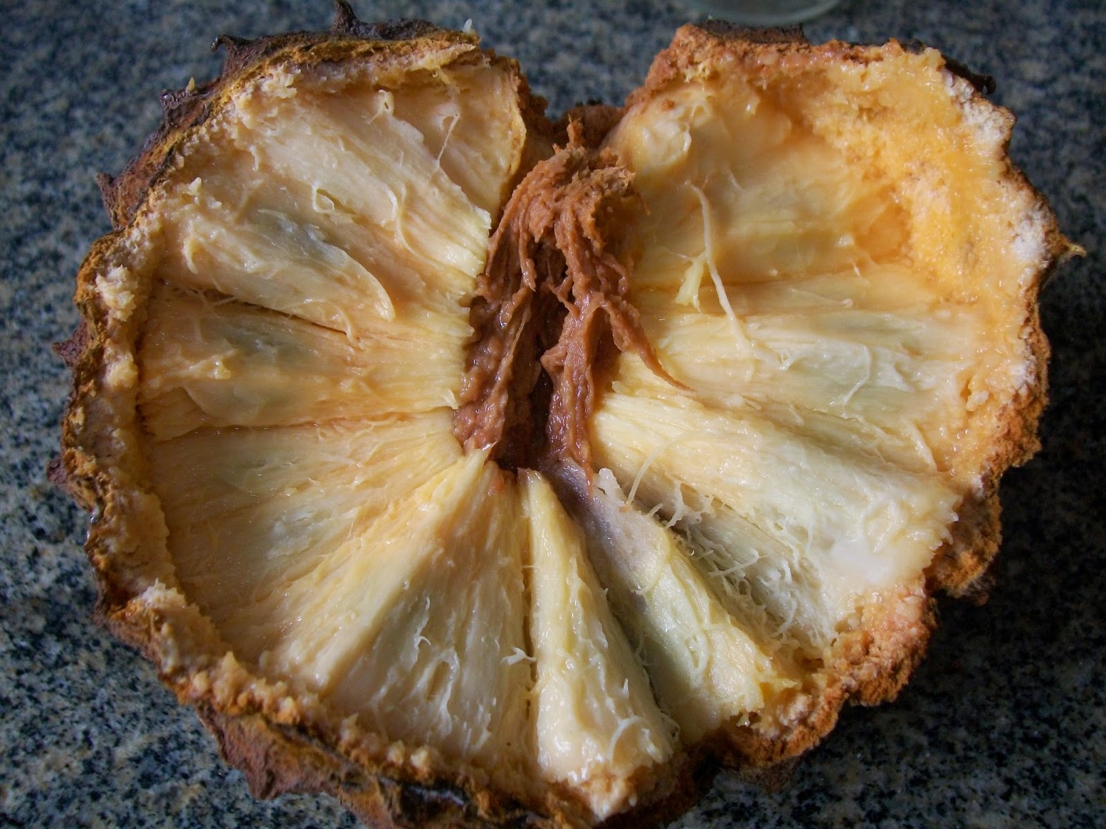 Blog da Anabela Jardim: Marolo, araticum ou bruto?