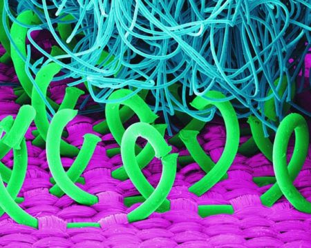 Inside the Conservator's Studio: The Trouble with Velcro TM - Is there ...