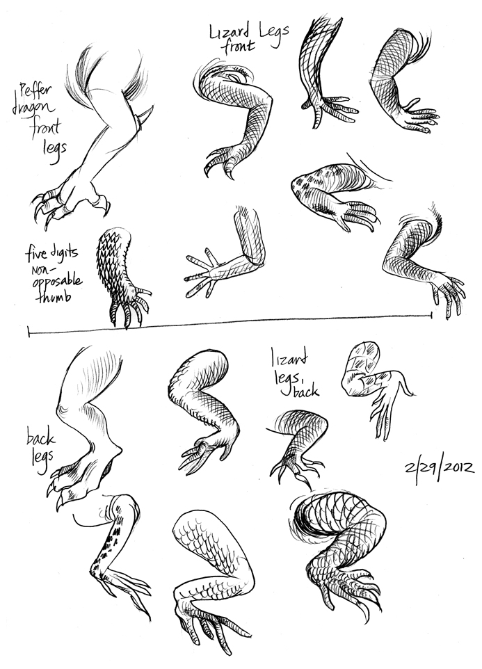 Dragon sketch, Drawings, Anatomy drawing