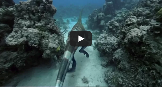 Sea Monsters - A Walking with Dinosaurs Trilogy (HD Quality) | Leaf Life