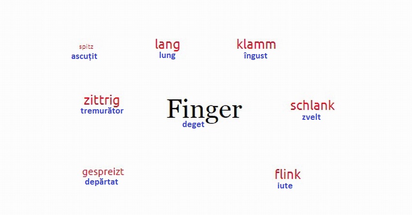 Deutsch für alle: Finger