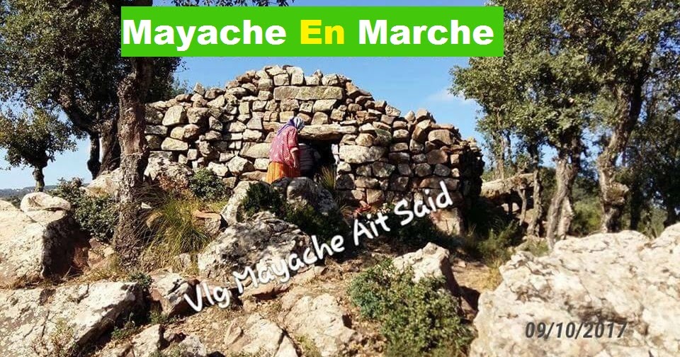 Mayache Infos