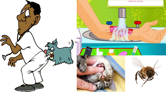 Health, Safety and Fitness: How to Treat Animal Bites? (Animal Bite ...