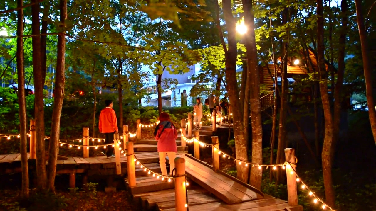 VeggieMeatLicious: Ningle Terrace in Furano, the place where can excite ...