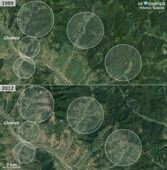 GEOGRAFILIA: Defrișările masive din România. 14 imagini satelitare ...