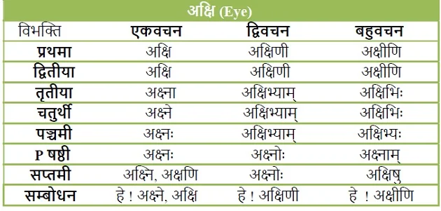 Akshi shabd roop in Sanskrit