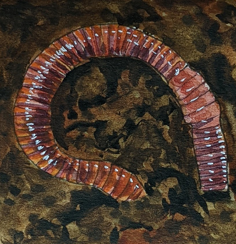 LinsArt: Watercolour, Acylic and Digital