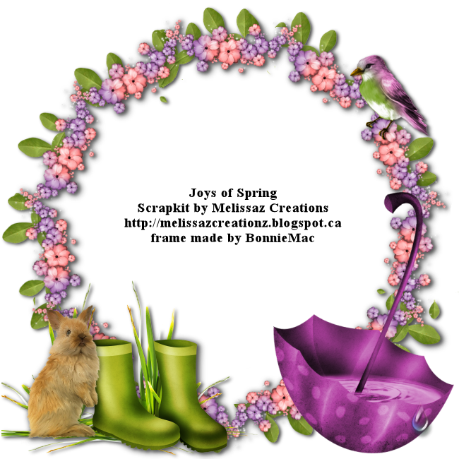 BonnieMac's PSP Tubes and Scrapkits