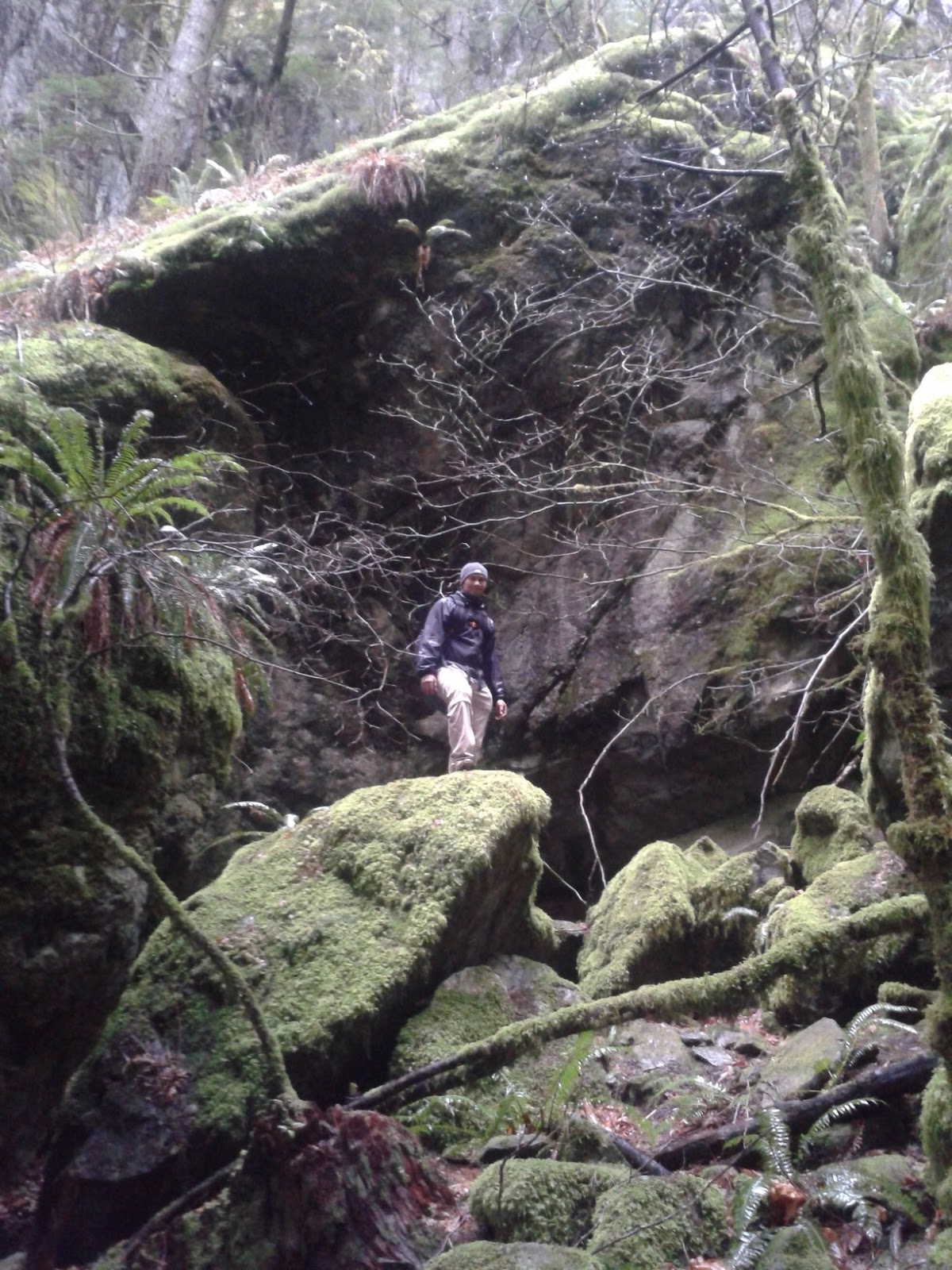 Urban Trailseeker: Hiking Trip Report: Little Si, Boulder Garden Loop