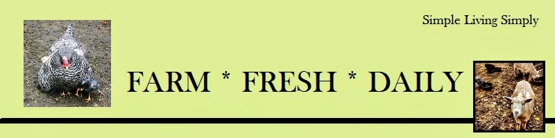 Farm Fresh Daily: Rainy Days