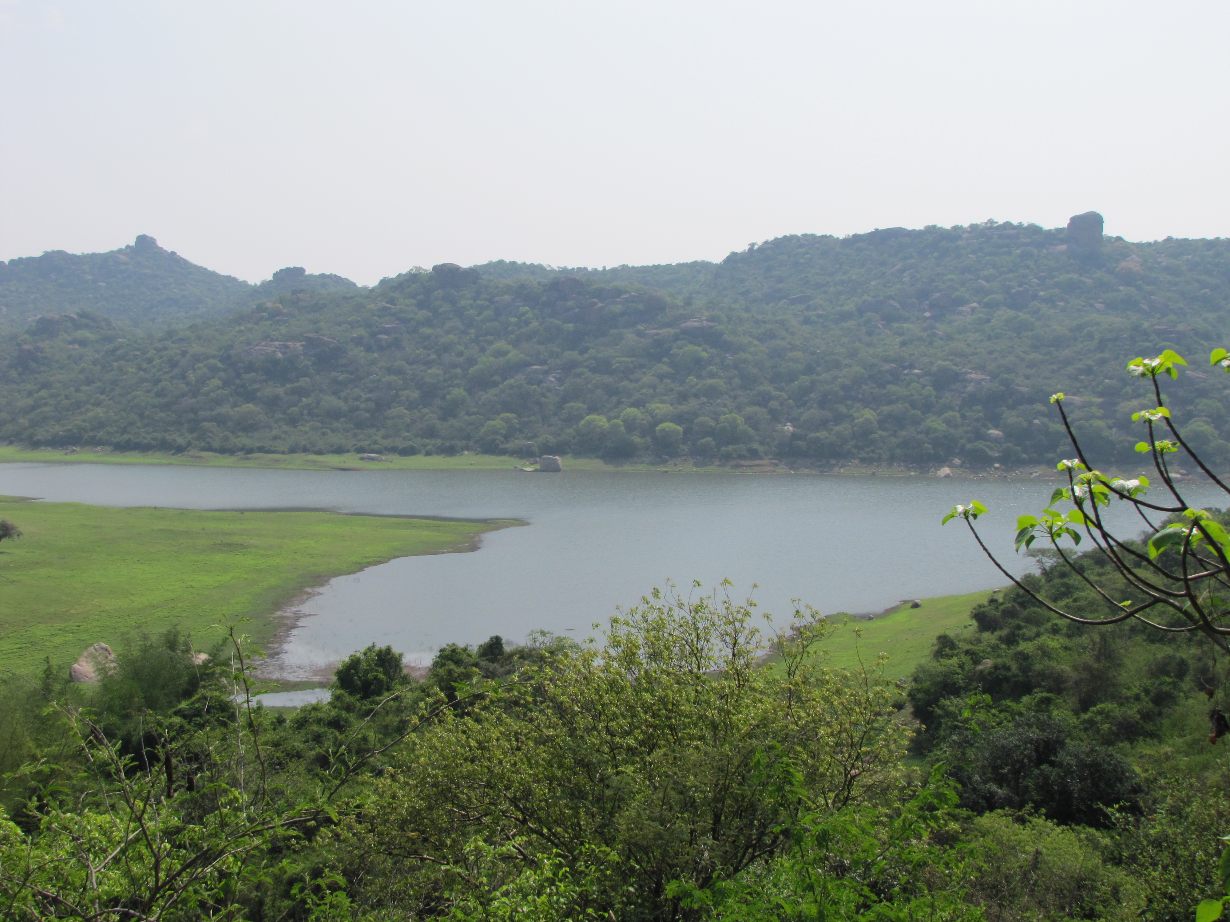 Panchapalli & Bettamugilalam: Hidden getaways from Bangalore