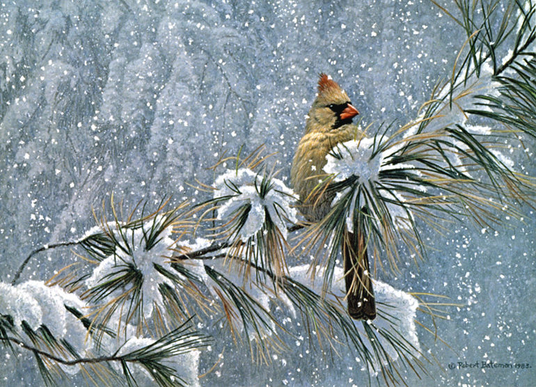 The forgotten Studio: Robert Bateman Canadian Artist and environmentalist
