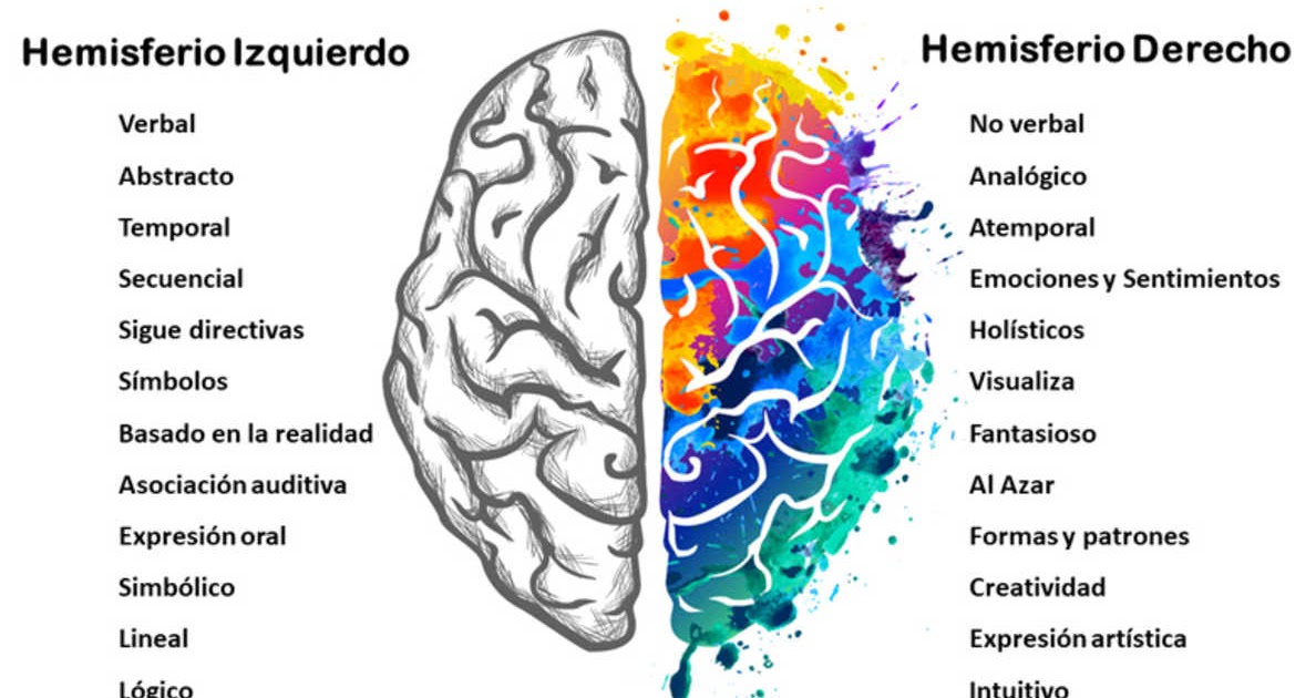 Descubre, Aprende e Innova!: Hemisferios Cerebrales de Roger Sperry