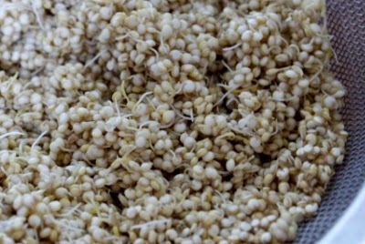 Beaute and the Feast: Perfectly Seasoned Quinoa - Wake up your taste ...