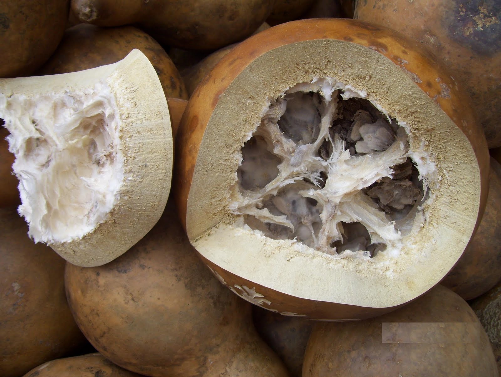 Artes Gaupano - Artes e Cultura Gaúcha.: " Porongos ou Cabaças ...