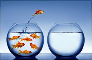 deeply shallow: Leaps of Faith, or Not Knowing What’s in the Next Fishbowl