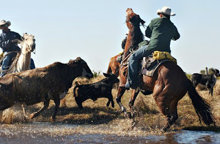 LA CASITA DE CHOCOLATE: MAÑANA DE VAQUEROS Y VAQUERAS.