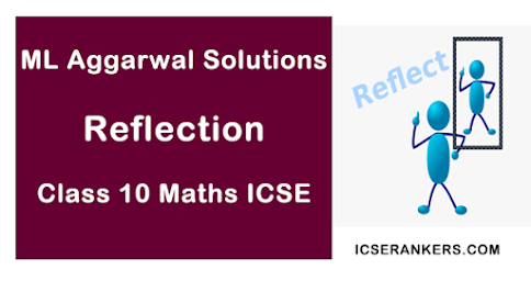 Chapter 10 Reflection ML Aggarwal ICSE Solutions for Class 10 Maths