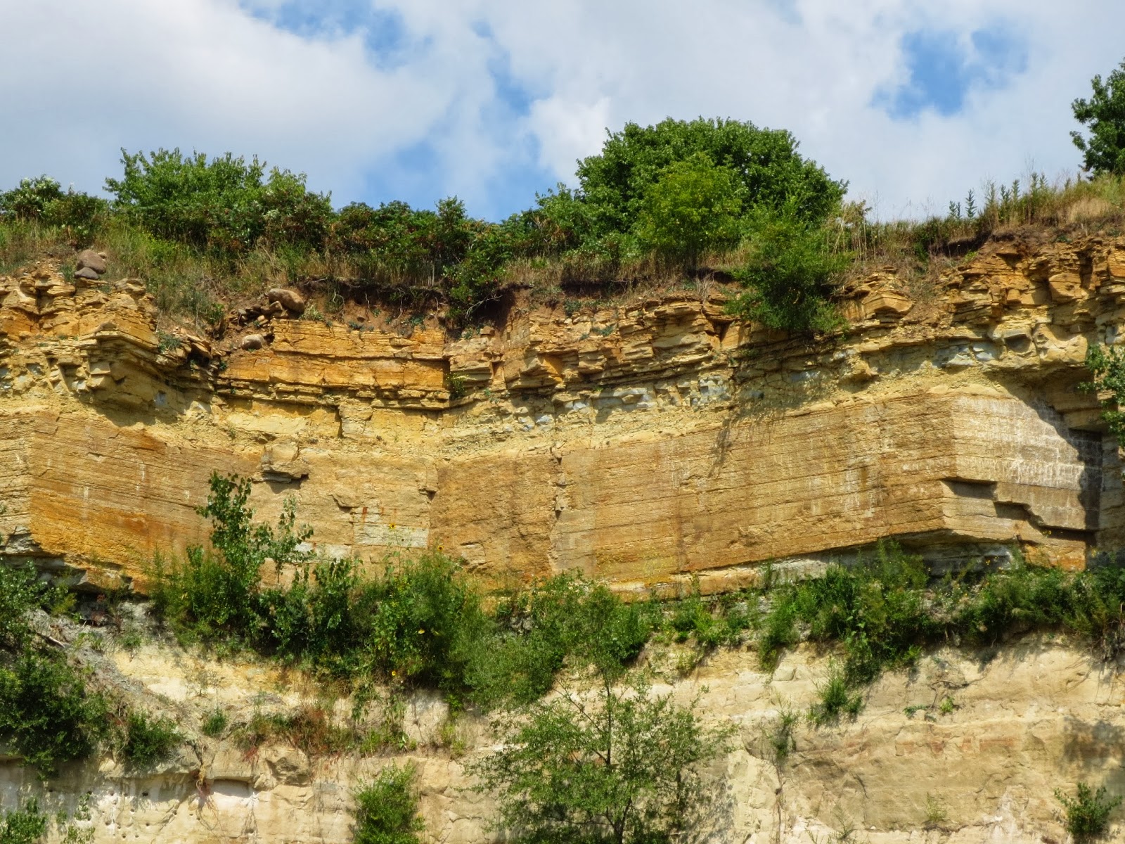 Equatorial Minnesota: Practical guide to MNRRA/metro-area bedrock geology