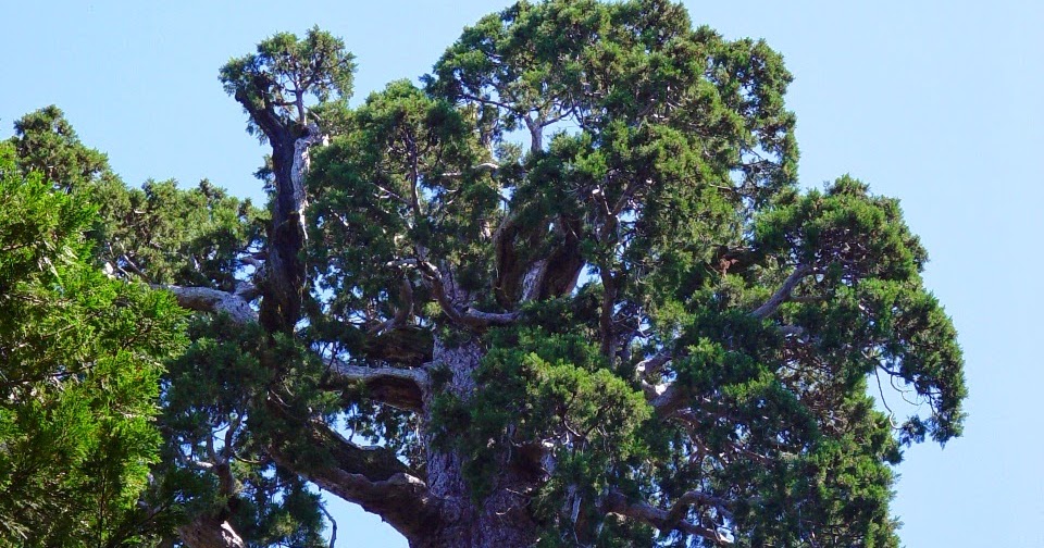 Geotripper: Happy Holidays from the Geotripper Gang.