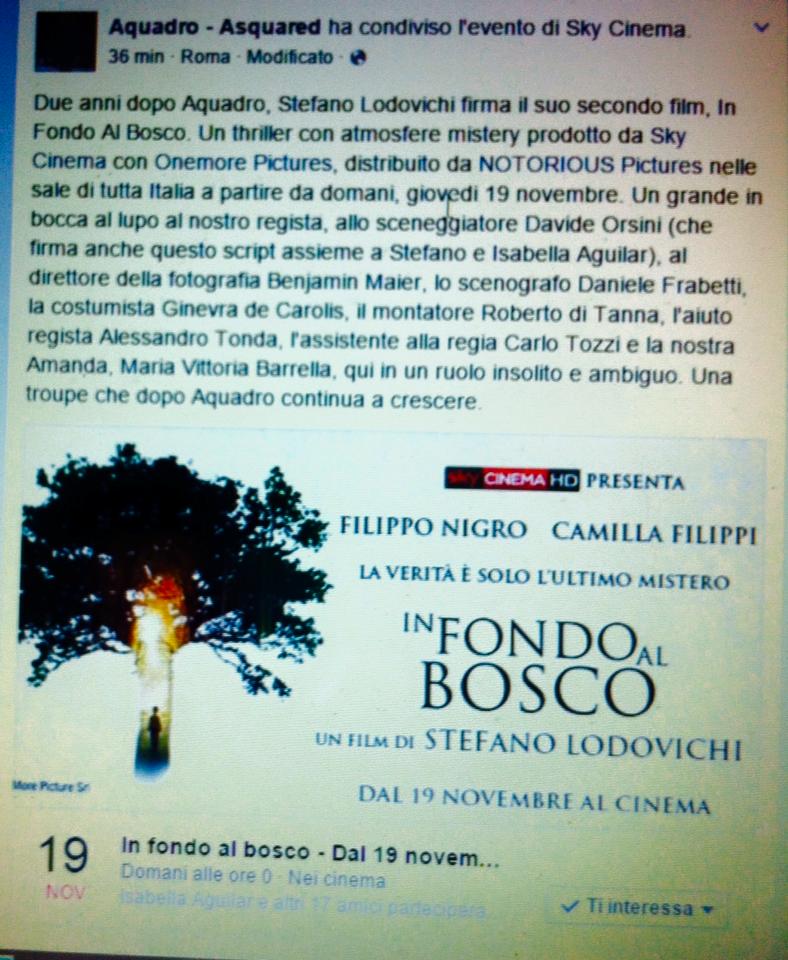 SALA D'ATTESA 1: Maria Vittoria Barrella : In fondo al Bosco.