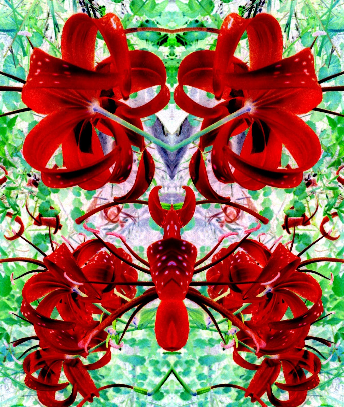 MarianneDowFoto Blog - Art Photography by Marianne Dow: Hey Lily, Is ...