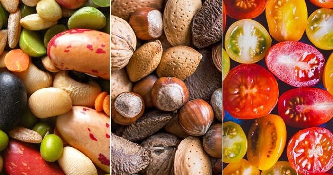 11 Foods Diabetics Should Eat Daily Health Queen 11-foods-diabetics-should-eat-daily-health-queen
