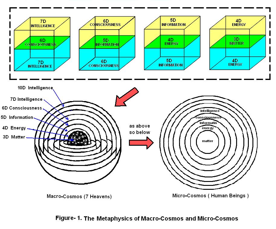 upstream physics: The Physics and the Origin of Species