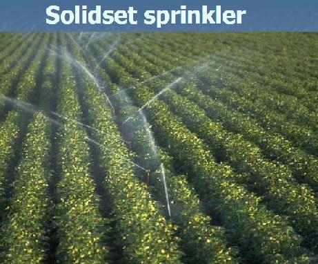 Jenis-jenis Sistem Irigasi Sprinkler - Panduan Pelajaran