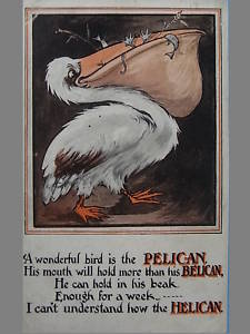 Nothing But Limericks: A Wonderful Bird is the Pelican - A Limerick