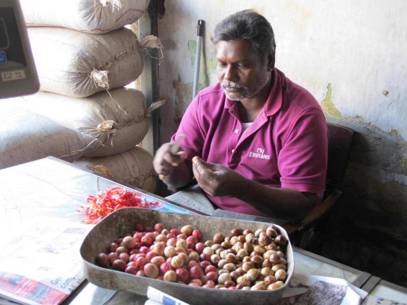 Raw Shakti Chocolate