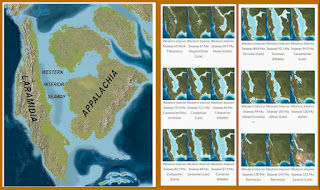 Membahas Western Interior Seaway - Informasi Hewan Dan Tumbuhan Prasejarah