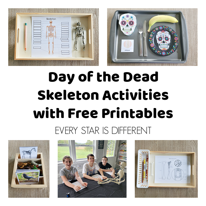 Day of the Dead Skeleton Activities with Free Printable - Every Star Is ...