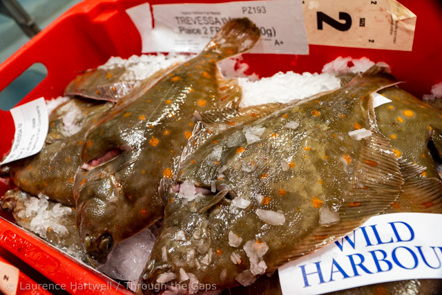 Through the Gaps! - Newlyn Fishing News: 01/08/21 - 01/09/21 Cornwall ...