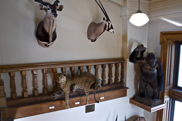 Montréal, je me souviens !: Musée Redpath