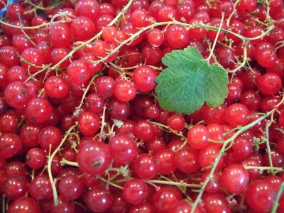 Maman Mélanie cuisine: Gadelle