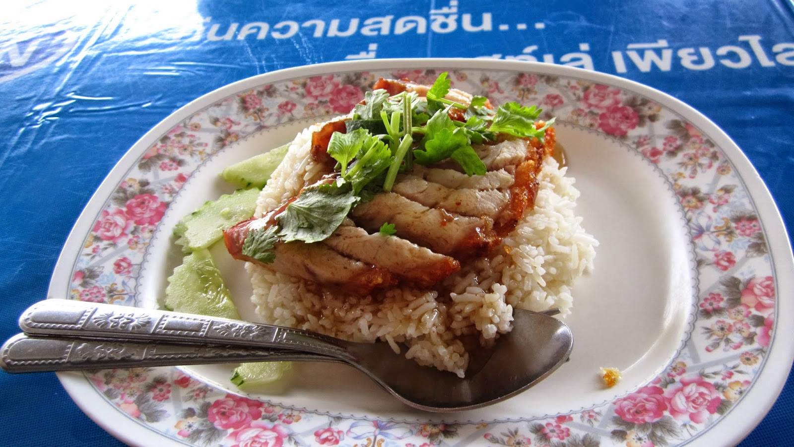 Our Journey : Thailand Songkhla - Hatyai Roasted Pork Rice