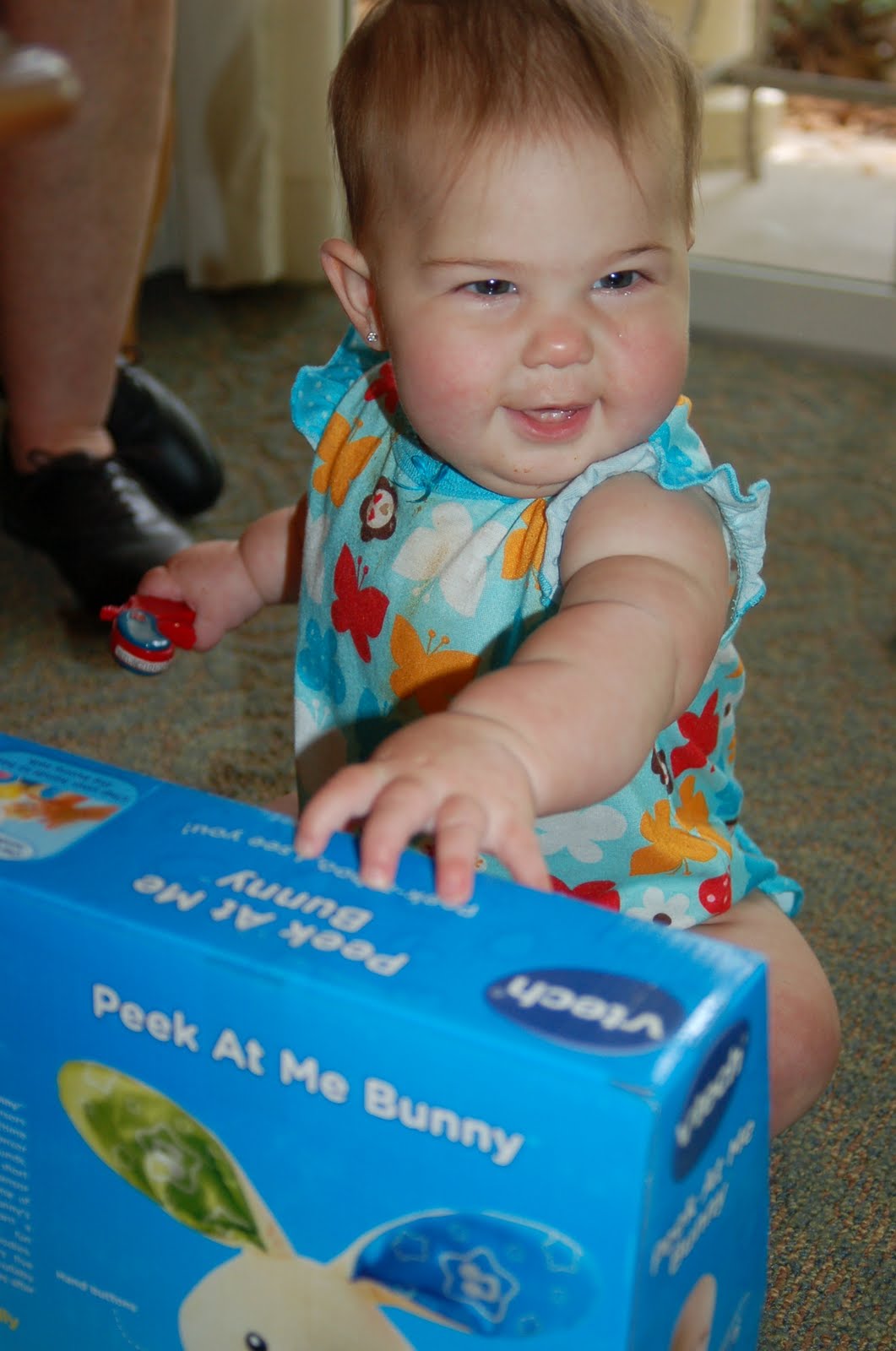 VTech's Peek-At-Me-Bunny Review