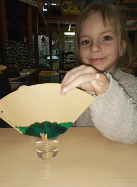 Comment l’arbre se nourrit-il? - École Sainte-Marie à Boirs - Blog