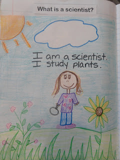 The Teachers' Playground: What is Science?