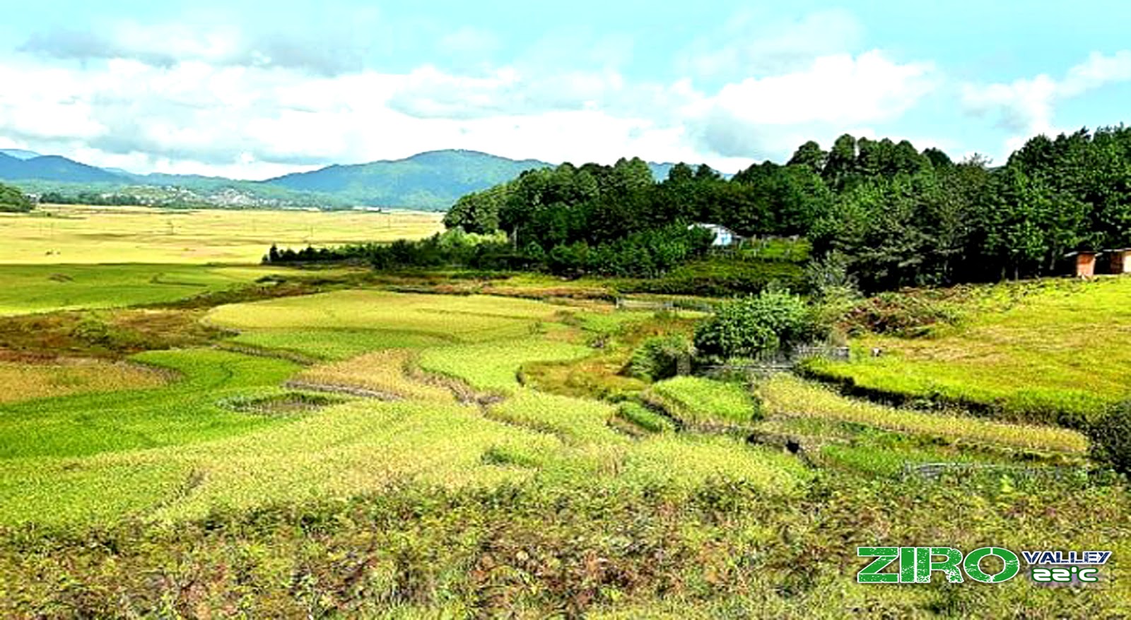 Top 15 Places To Visit In Ziro Valley ( Arunachal Pradesh )