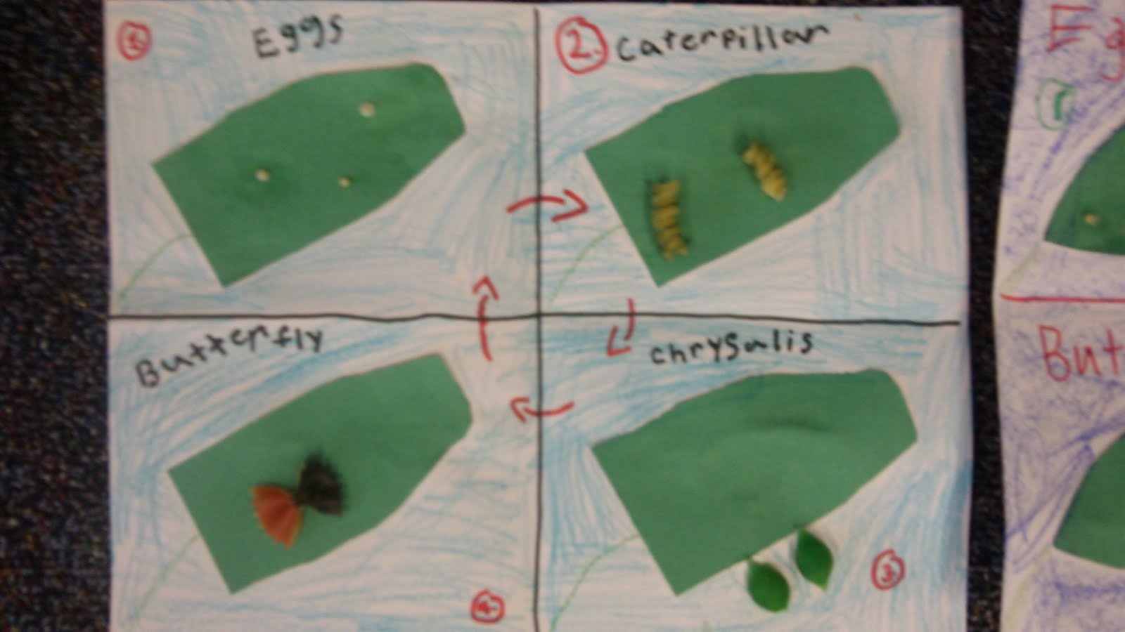 Hagen's Allstars: How Does A Butterfly Grow?