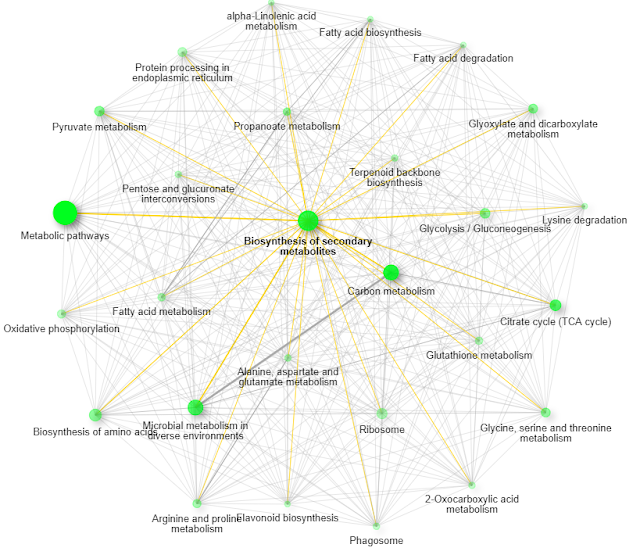 News in Proteomics Research: ShinyGO! A beautiful, simple and powerful ...