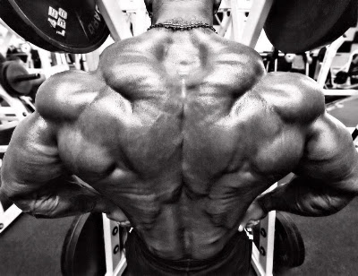 Bodybuilding Pic,s & Tips ( POWER HOUSE ): Body Builders Back View