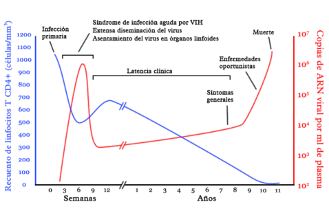 Conocimiento actual de la enfermedad ~ VIH/SIDA